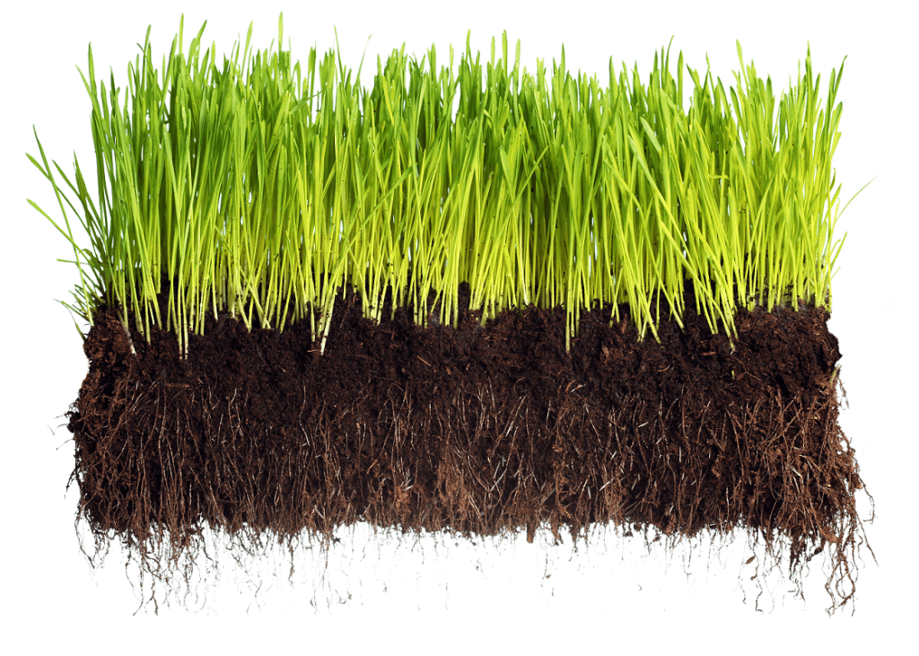 Seeding Techniques for a Healthier Golf Course - Arborjet | Ecologel