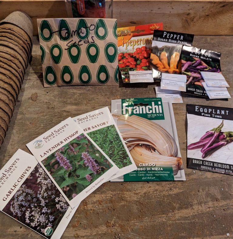 Starting Plants from Seed in the Spring - Arborjet | Ecologel