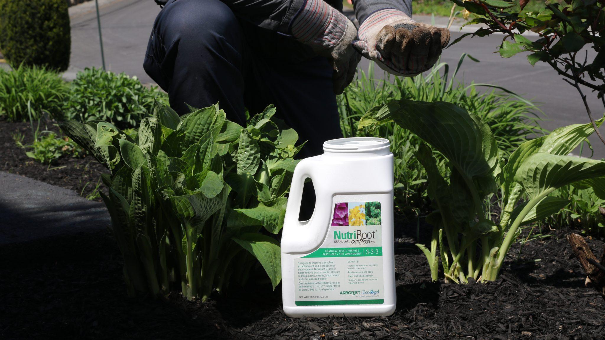 Four Product Benefits of NutriRoot Granular - Arborjet | Ecologel