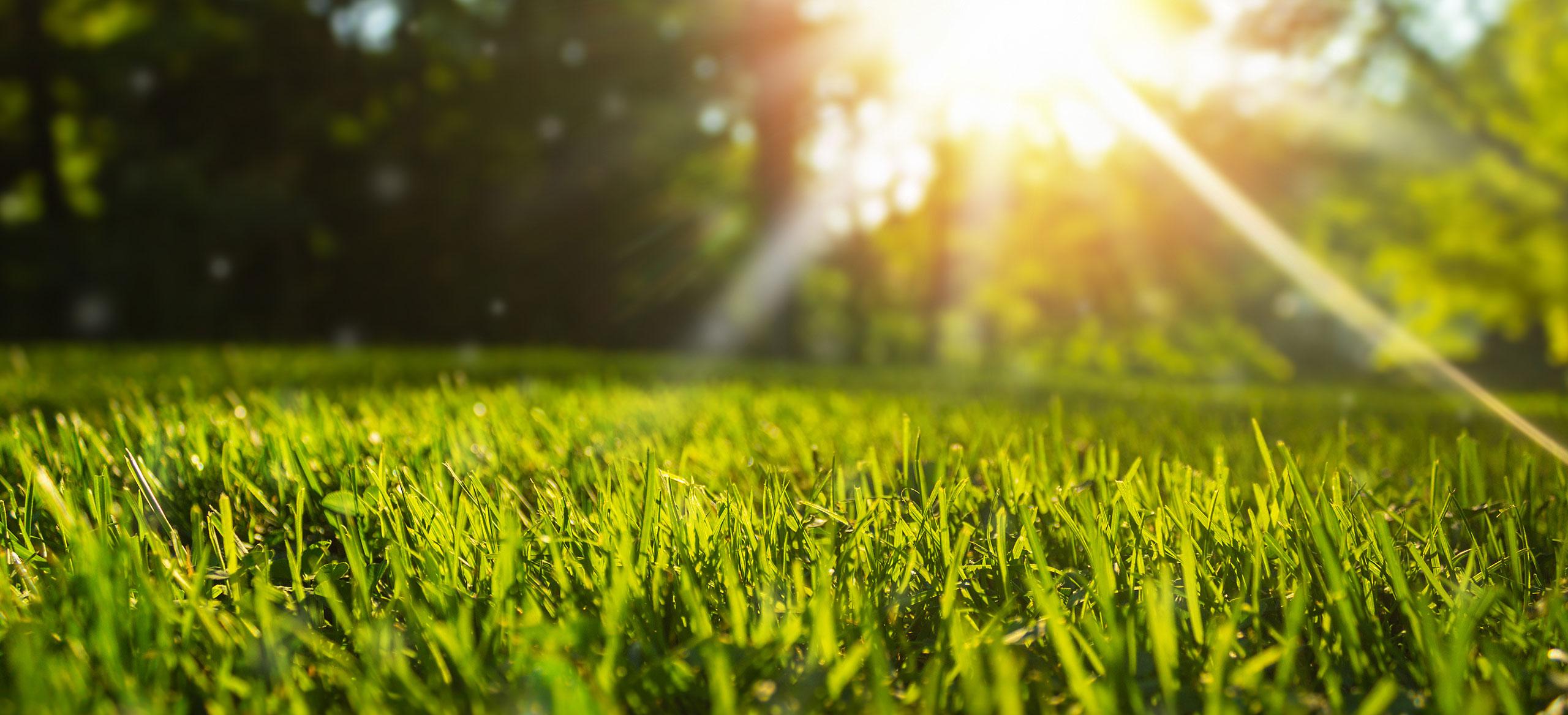 Partner Sales Tools Downloads - Arborjet | Ecologel