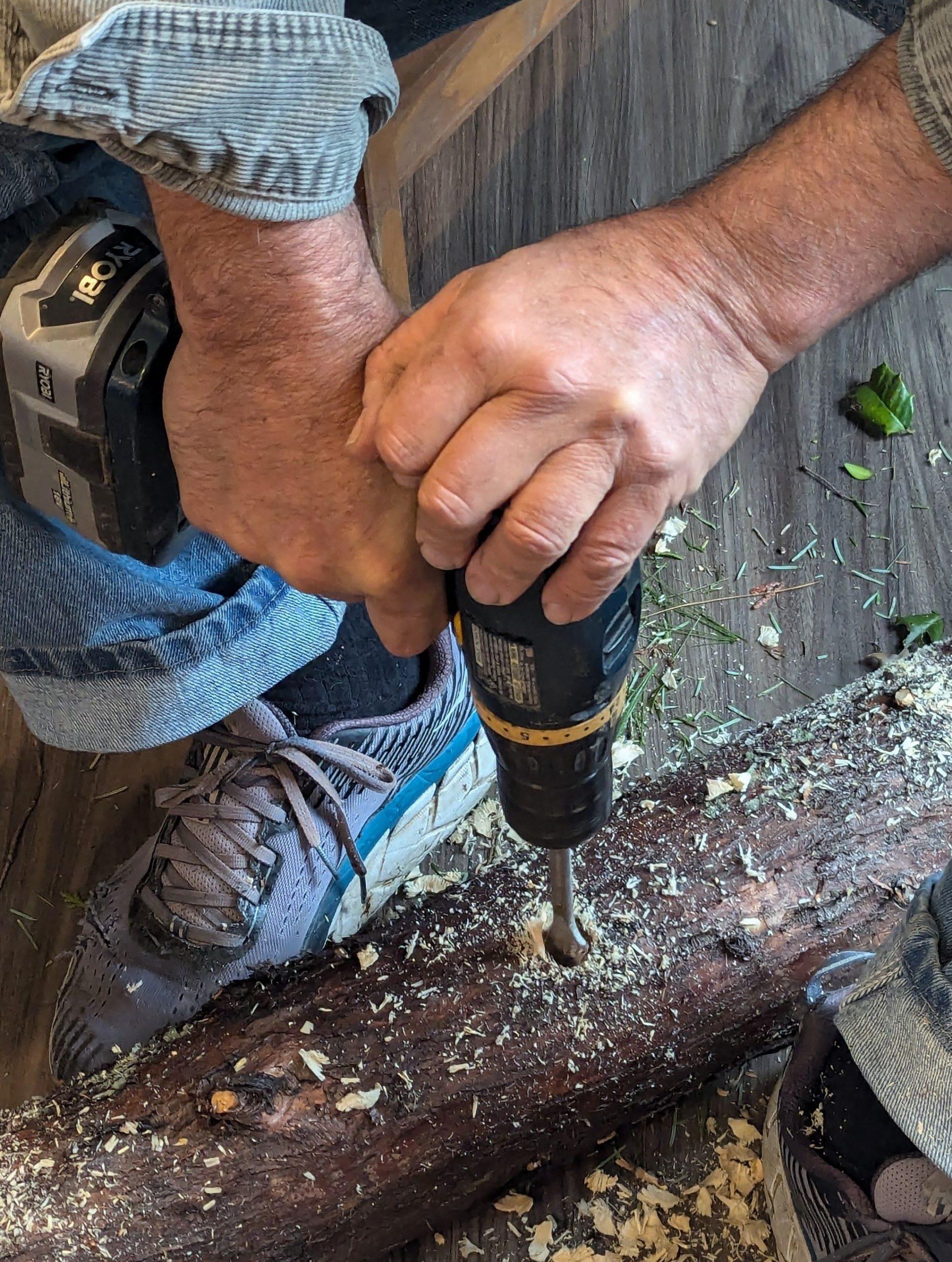 Joe's Journal, Fall Edition: Of Greens and Wreaths - Arborjet | Ecologel