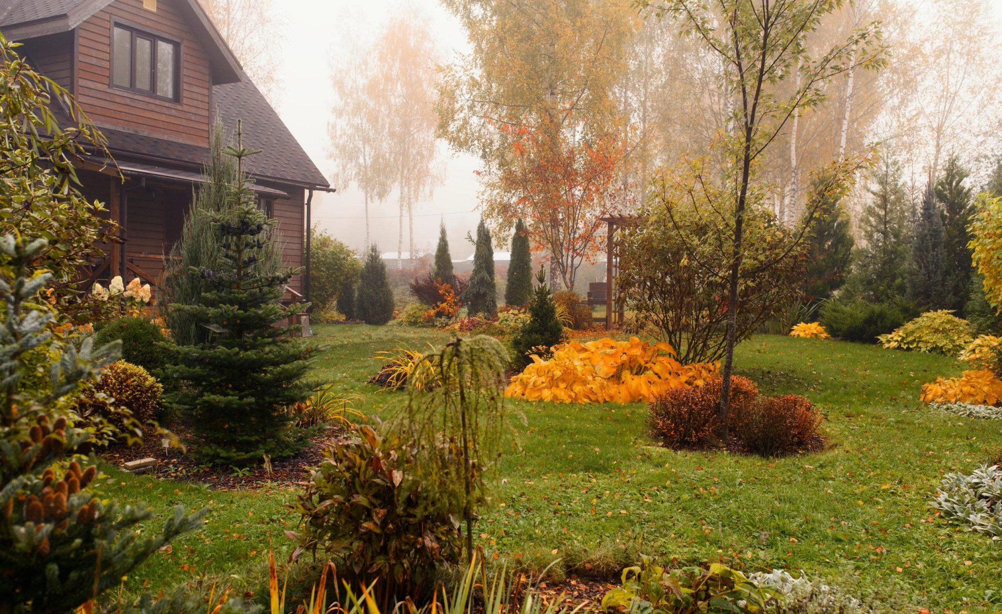 Goldspotted Oak Borer - Symptoms and Treatments