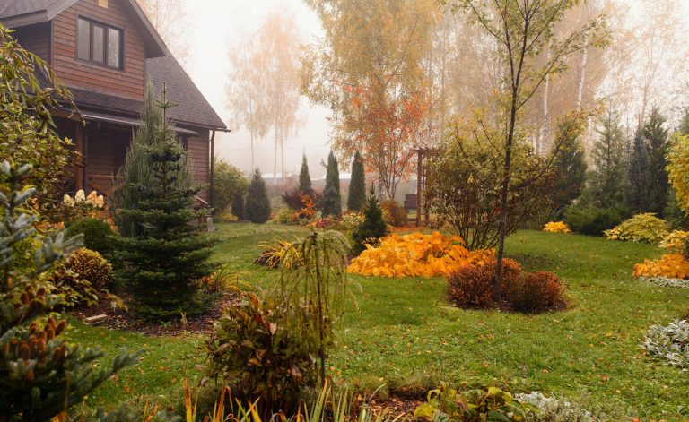 Propizol® Fungicide for Trees, Grasses, Shrubs or Flowers